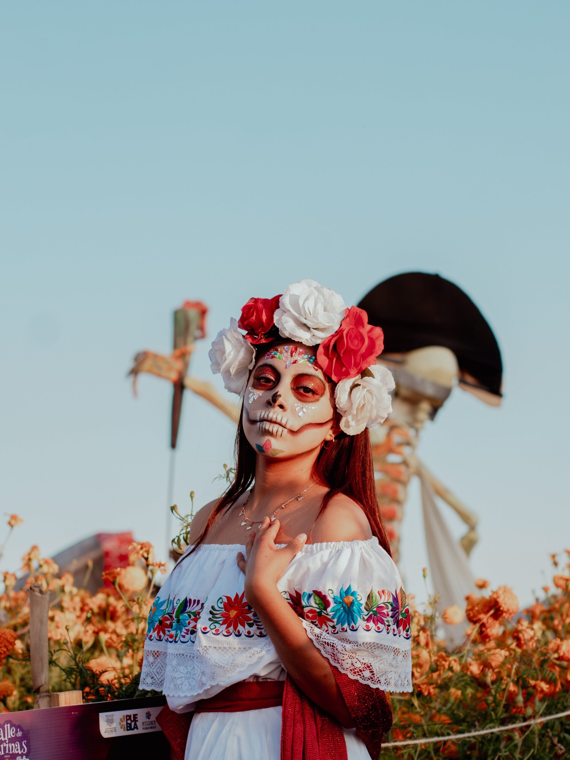 Journey Through Fashion: The Evolution of Character Costumes at ...
